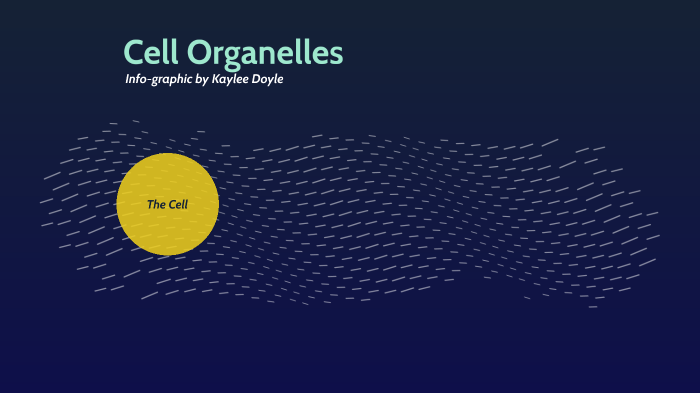 Kaylee Doyle Part 1: Cell Organelles by Kaylee Doyle on Prezi
