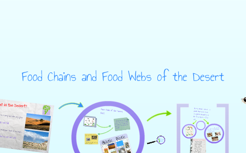 Food Chains and Food Webs by Rebekah Berry on Prezi