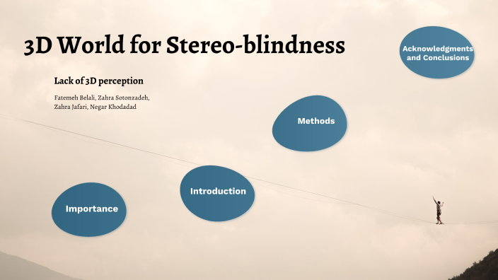 Stereo blindness by fatemeh belali on Prezi