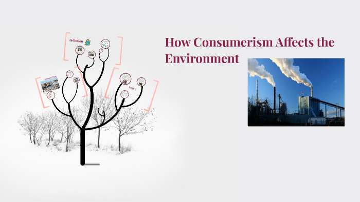 How Consumerism Affects the Environment by marta zherukha on Prezi
