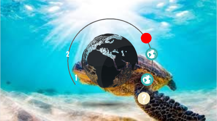 Patrick Thompson Water Cycle by Patrick Thompson on Prezi