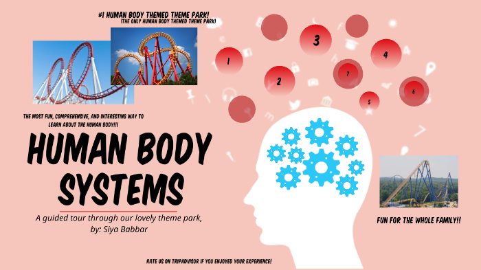 Human Body Systems Brochure by Siya Babbar on Prezi