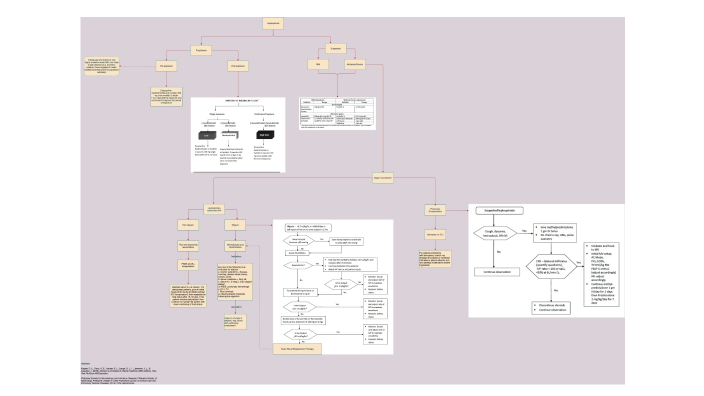 Leptospirosis Algorithm by Belle Escarda on Prezi