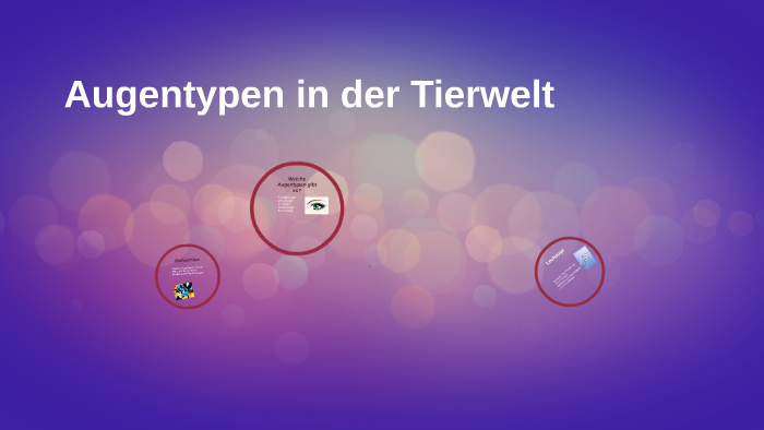 Augentypen in der Tierwelt by kai vorder on Prezi