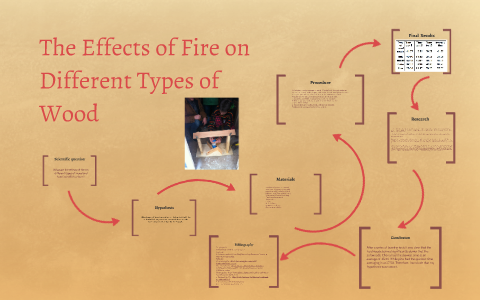 The Effects of Fire on Different Types if Wood by steve steves on Prezi