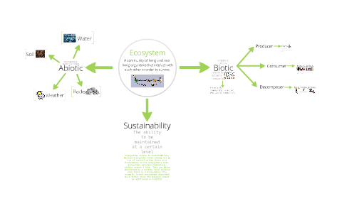 Ecosystem Mind Map by Elle Phan on Prezi