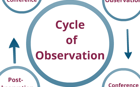 Cycle of Observation by Pam Rodgers on Prezi