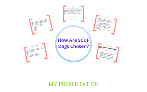 SCDF Dogs by Ashikin Meow on Prezi