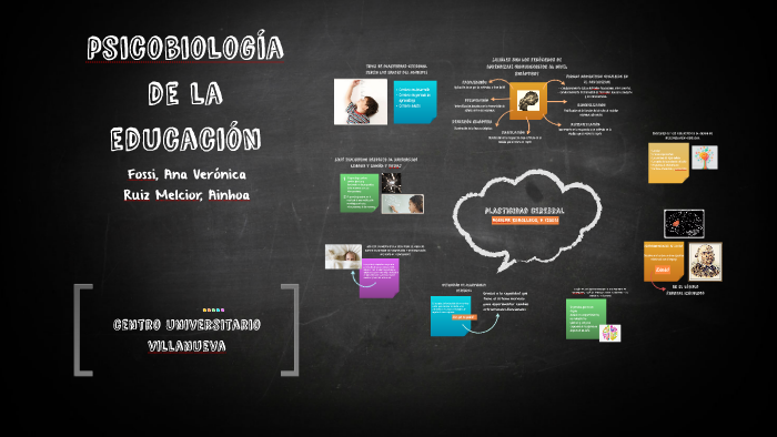 Plasticidad cerebral by Ana Verónica Fossi Páez-Pumar on Prezi