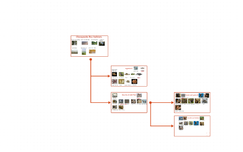 Chesapeake Bay habitats. by Alexis Guinan on Prezi