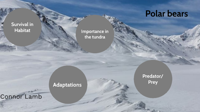 Connor Lamb Endangered species project by Connor Lamb on Prezi