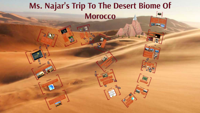 Biome Project Morocco by Kameron Cochrane on Prezi
