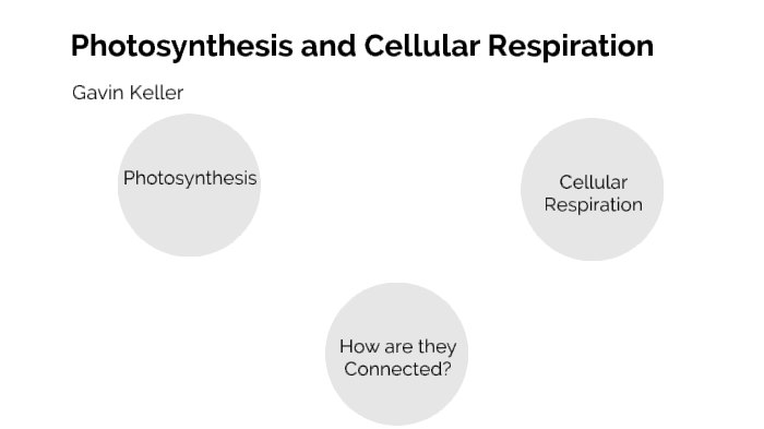Photosynthesis and Cellular Respiration Summative Assessment by Gavin ...