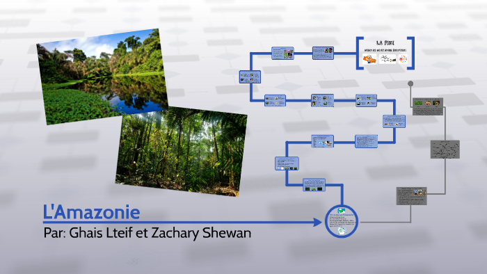 L'Amazonie by Line Lteif on Prezi