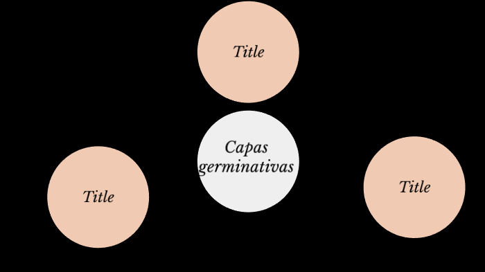 Capas germinativas by Micaela Alvarez on Prezi