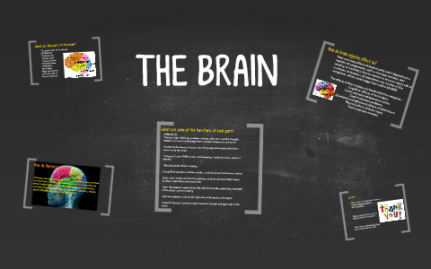 THE BRAIN by Emily Senter on Prezi