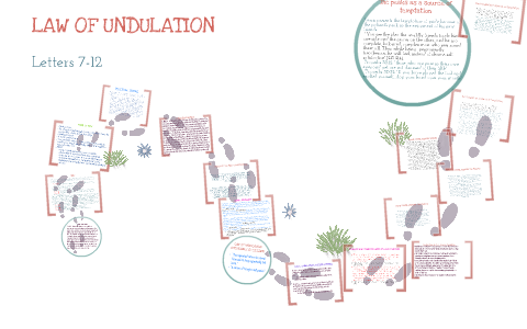 Law of Undulation by Dani Herman on Prezi