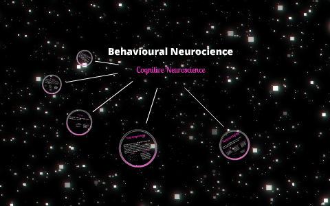 Behavioural Neuroscience: Cognitive Neuroscience by Tomohawk McGinn on ...