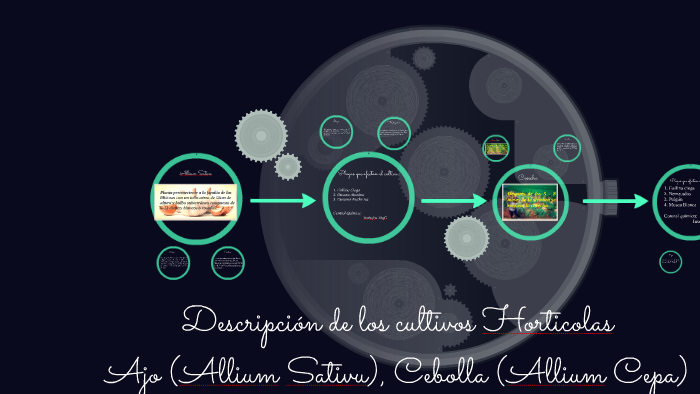 Descripción de los cultivos Orticolas by edwin claudio