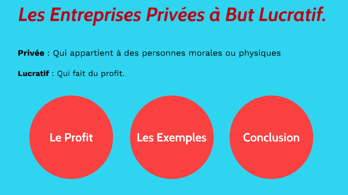 Les Entreprises privées à but lucratif by Gaetan Lory on Prezi