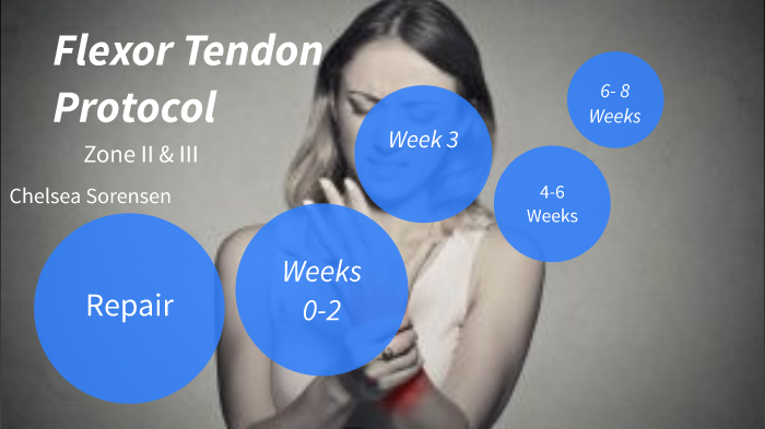 Flexor Tendon Repair Protocol by Chelsea Sorensen on Prezi