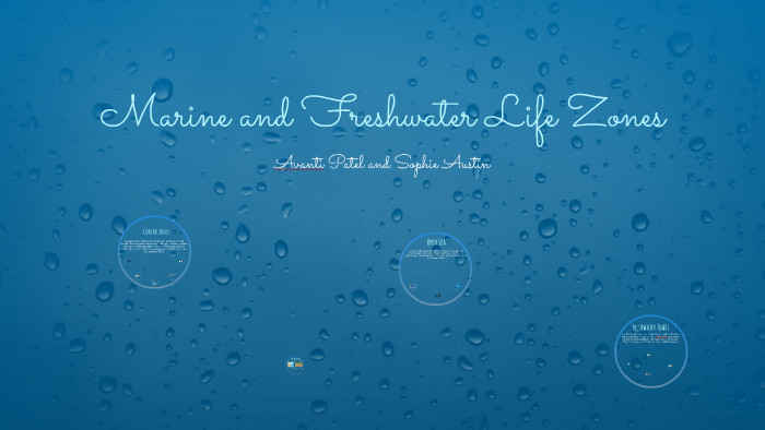 Marine and Freshwater Life Zones by Avanti Patel on Prezi
