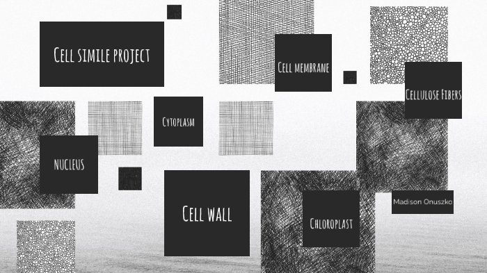 Cell Simile Project by Madison Onuszko on Prezi