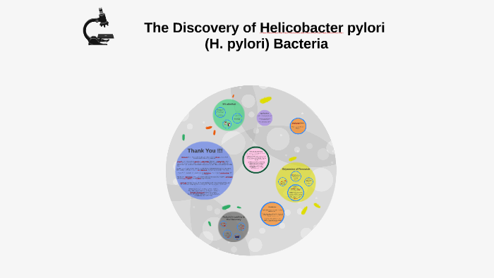 The Discovery of Helicobacter pylori (H. pylori) Bacteria by shahd ...