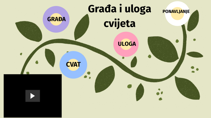 Građa i uloga cvijeta by Martina Miloš on Prezi