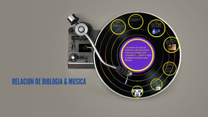 Relacion De Biologia Musica By Franklin Antonio Marroquin Samayoa On