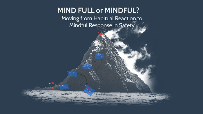 Moving from Habitual Reaction to Mindful Response by Samantha Weidner