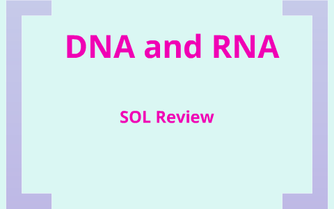 DNA and RNA - SOL Review by Elizabeth Baber