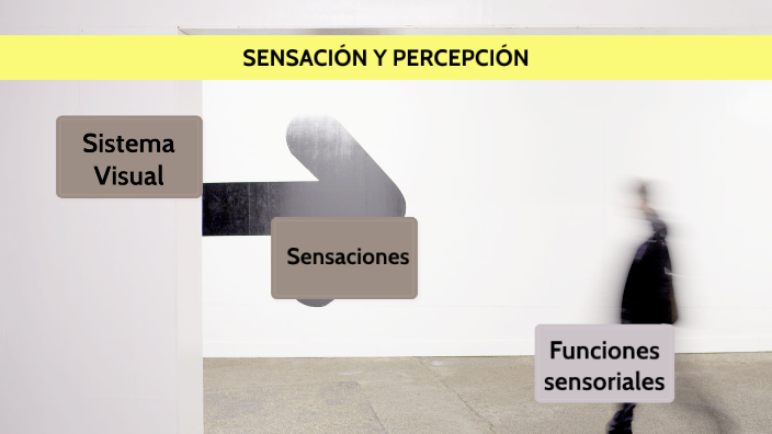 SENSACIÓN Y PERSEPCIÓN by Martha Castillo on Prezi