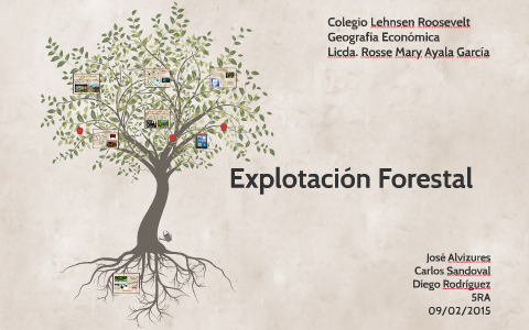 Explotacion Forestal- Geografia Economica by Claudia Guzman de ...