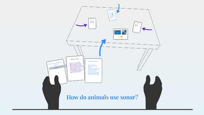 How do sea animals use sonar? by Daizha Wheeler on Prezi