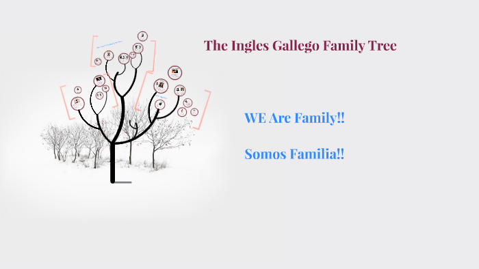 The Ingles Gallego Family Tree by Javier Mayfield on Prezi