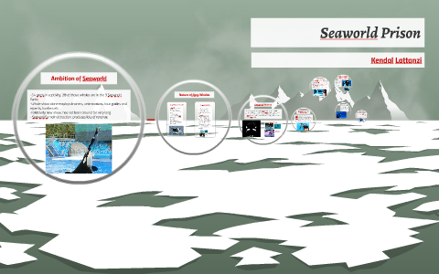 Seaworld Prison by on Prezi