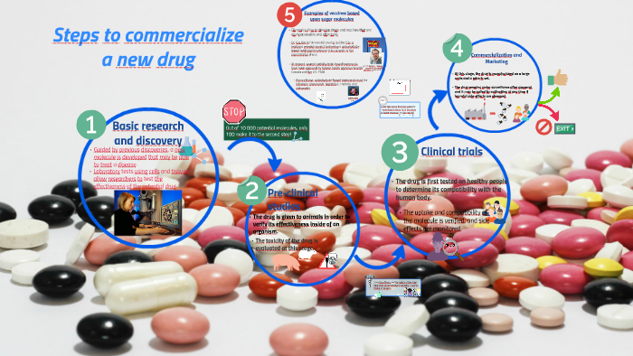 Steps to Commercializing a New Drug by Ryan Snitynsky on Prezi
