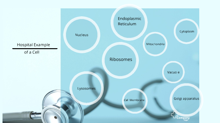 Hospital Example of Cell Organelles by Blaire Davis on Prezi