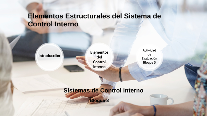 Elementos Estructurales del Control Interno by Oscar Heriberto Rebollo ...