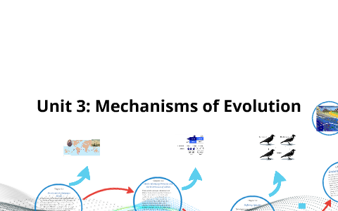 Unit 3: Mechanisms of Evolution by Lyric Winston on Prezi