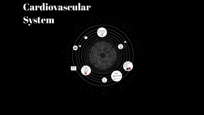 how the cardiovascular system works by iris slade on Prezi