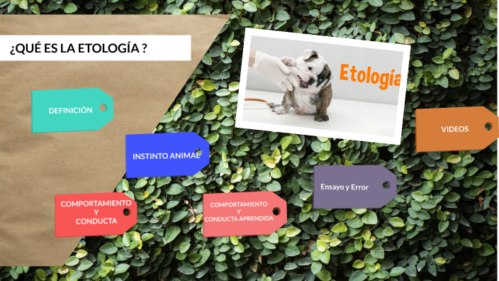 ETOLOGÍA by Mónica Rojas on Prezi