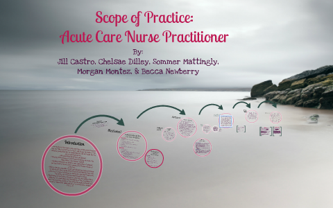 Scope of Practice: Acute Care Nurse Practitioner Week 4 by Jill Castro ...