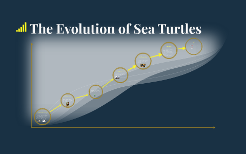 The Evolution of Sea Turtles by Jonathan Hicks