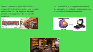Cell Analogy - Restaurant by Max Duzan on Prezi Design