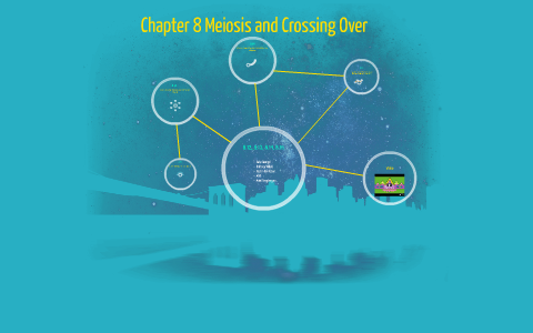 Chapter 8 Meiosis and Crossing Over by jake george on Prezi