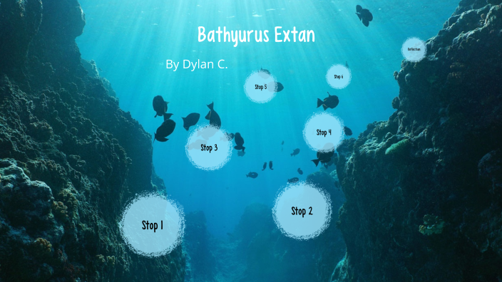 Bathyurus Extans by Dylan Clark on Prezi