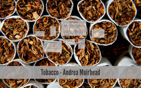 Tobacco - Andrea Muirhead by Andrea Muirhead on Prezi