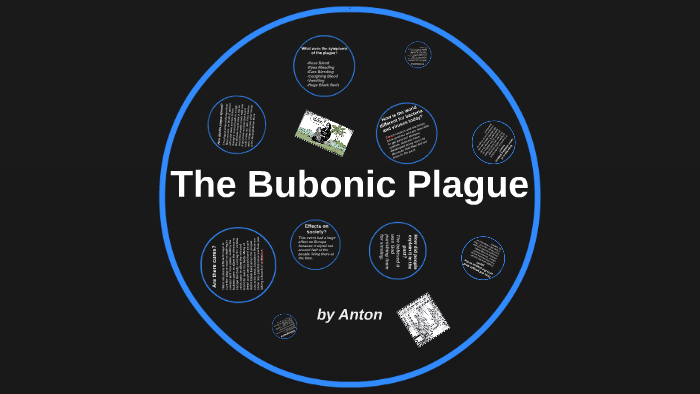 The Bubonic Plague by Anton :) on Prezi
